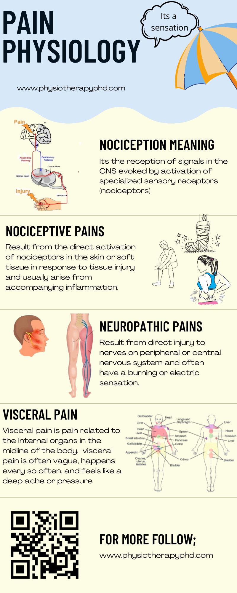 Anatomy and Physiology – Enrich your skills..